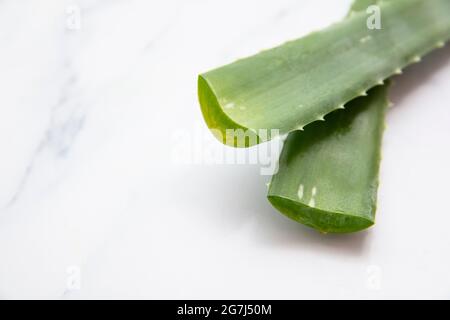 Natural green aloe vera stem health and well being background Stock ...