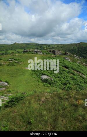 Summer view Bench tor towards Sharp tor, Dartmoor National Park, Devon ...
