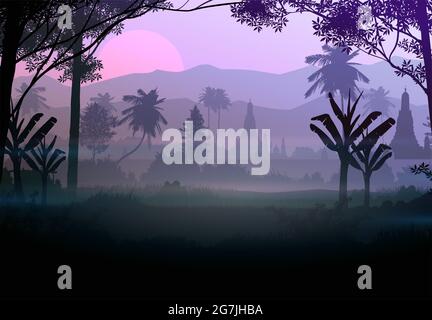 Amazing sunset view in the jungle Stock Photo - Alamy