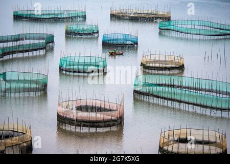 A fisherman sailing among round giant fishing nets on mudflats in Xiapu ...