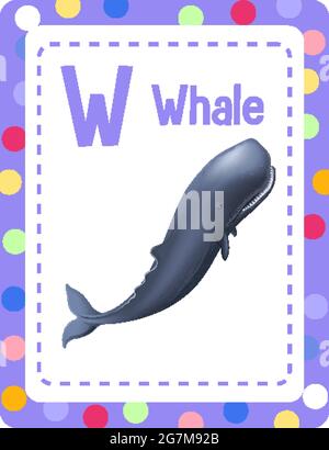 Educational English word card of Whale illustration Stock Vector Image ...