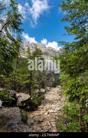 Rock labyrinth below Latemar mountains, Dolomites, South Tyrol Stock ...
