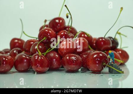 Characters and fresh red cherries on white background Stock Photo - Alamy