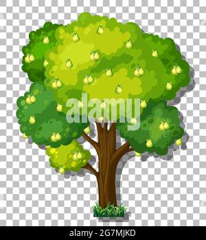 Pear tree on transparent background illustration Stock Vector Image ...
