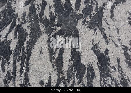 Closeup of the bumpy rough gray volcanic rock texture in the beach in ...