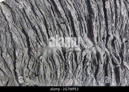 Closeup of the bumpy rough gray volcanic rock texture in the beach in ...
