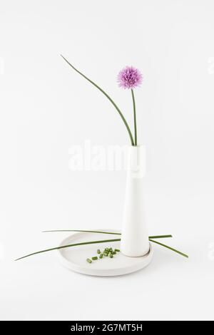 Fresh cut chives on a white plate Stock Photo - Alamy