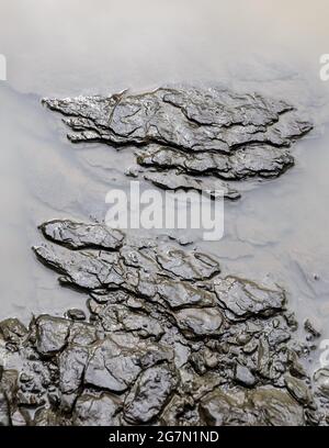Wet rock in a puddle of water Stock Photo - Alamy