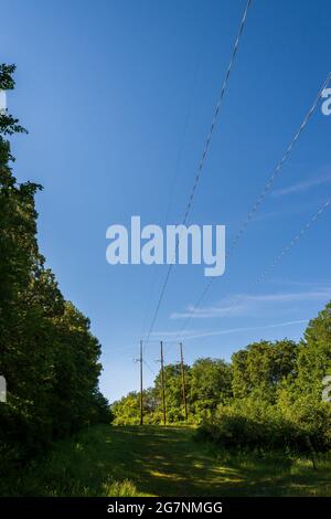 Electricity for transmission of power through electrical networks ...
