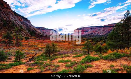 Zion National Park is an American national park located in southwestern ...
