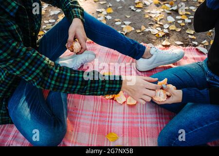 A shallow focus shot of a male Mandarin Duck standing on the grass in ...