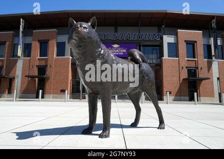 A general view of Husky dog statue at the Dawg Pack entrance to Husky ...