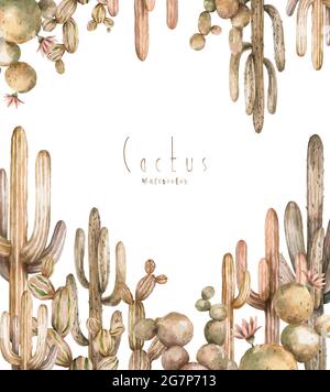 Banner, template for cards with cactuses . image of green cacti frame ...