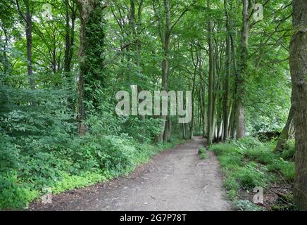 Cloudy over Linacre Reservoir in Cutthorpe, Chesterfield Stock Photo ...