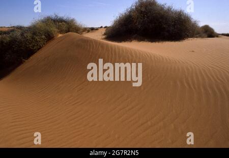 Edge of the Simpson Desert Stock Photo - Alamy