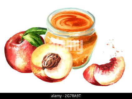 Glass jar of Ripe fresh Nectarine peache jam set. Hand drawn watercolor ...