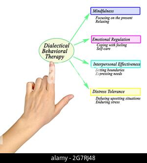 Components of Dialectical Behavioral Therapy Stock Photo - Alamy