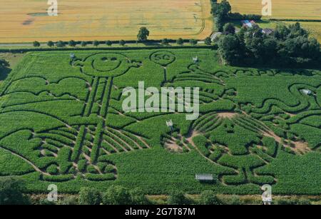 The 2021 York Maze in York, North Yorkshire, created from over one ...