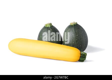 Two realistic looking globe or eight ball squash or zucchini or round ...