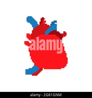 Human anatomy pixel art. 8bit Internal organs and skeleton. Pixelate ...