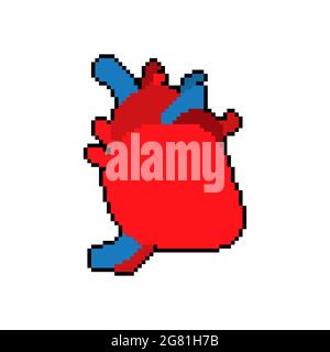 Anatomical heart pixel art. 8 bit Internal organ vector illustration ...