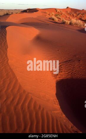 RED SAND DUNES OF THE GREAT SIMPSON DESERT, CENTRAL AUSTRALIA Stock ...