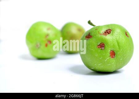 apple fruits damaged by heavy hail stom .pictured in studio Stock Photo ...