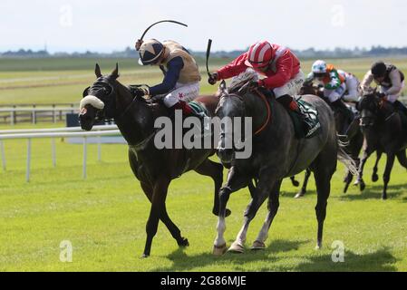 Major Power ridden by Danny Sheehy on the way to winning Paddy Power ...
