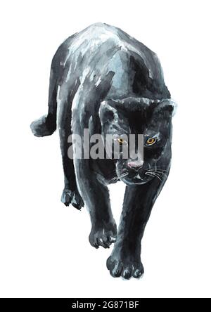 Black panther or jaguar. Watercolor hand drawn illustration, isolated ...