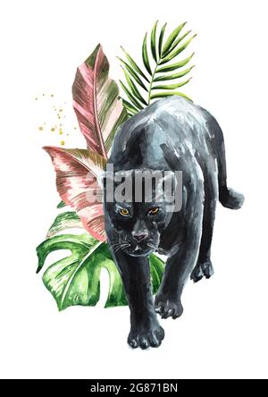 Black panther or jaguar with exotic tropical or jungle Leaves ...