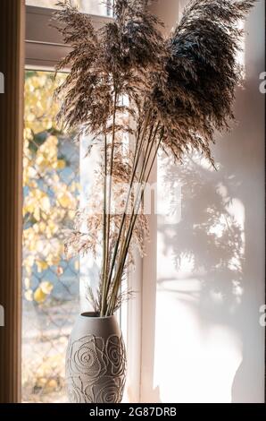 Shadows from a dry bouquet on the wall. Background for postcards. The ...