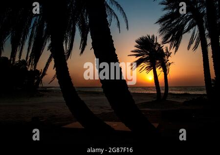 Umm bad beach - QATAR Stock Photo - Alamy
