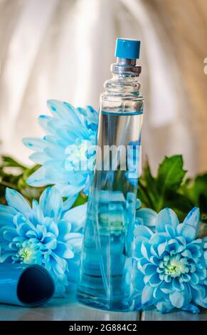 Bottle of perfume with camomile on white background Stock Photo - Alamy