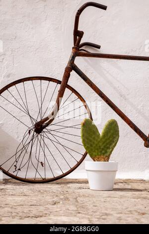Bicycle shape cactus flower pot Stock Photo - Alamy