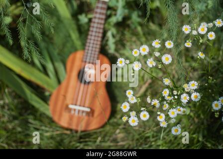 Ukulele in wild flowers, summer photo of a ukulele Stock Photo - Alamy
