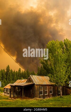 Markleeville, California, USA. 17th July, 2021. Firefighters monitor ...
