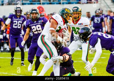 # 25 Niko Lester DB / Barcelona Dragons Stock Photo - Alamy