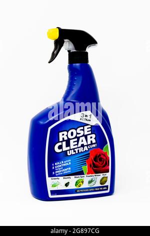 Rose Clear Ultra Spray Bottle Stock Photo - Alamy