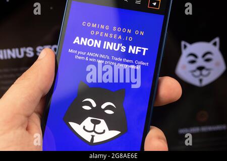 Anon Inu hacker crypto currency banner, web design, copy space photo ...