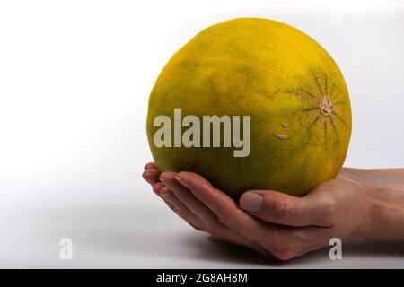 Limelon fruit isolated on white. Limelon is a New Hybrid Fruit, Half ...