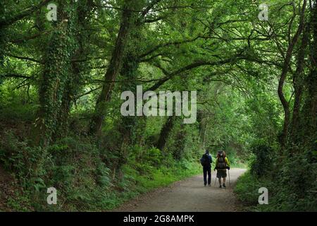 Silhouette of some pilgrims on the Camino de Santiago on a background ...