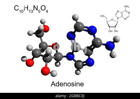 Adenosine purine nucleoside molecule Stock Photo - Alamy