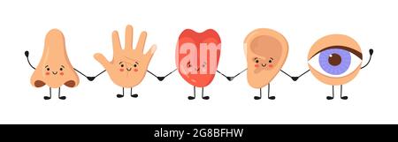Five Senses Concept With Human Organs Stock Vector Image & Art - Alamy