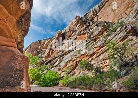 Hackberry Canyon, near Cottonwood Canyon, Grand Staircase Escalante ...