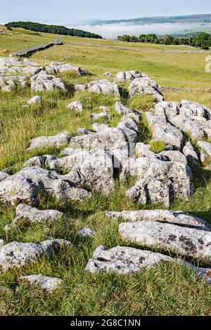 Morning mists or temperature inversion seen from Winskill in North ...