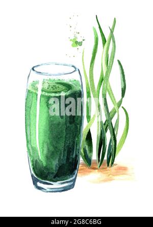 Hand-drawn watercolor green powder in a clay bowl. A part of the big ...