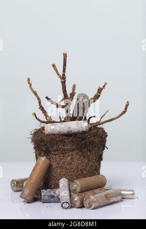 A dead plant with an earthen clod. Waste recycling and environmental ...