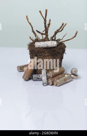 A dead plant with an earthen clod. Corroded batteries around. Waste ...