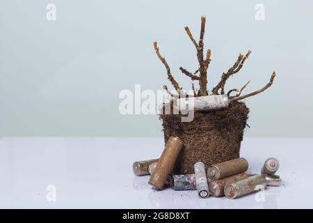 A dead plant with an earthen clod. Corroded batteries around. Waste ...