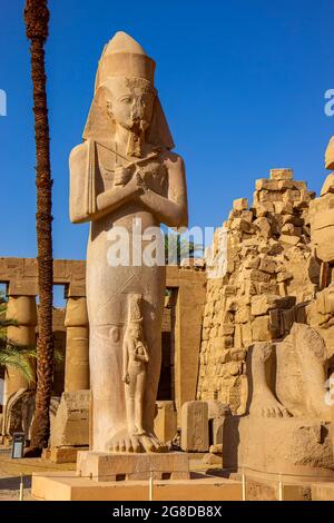 Karnak, Egypt: Colossus of Pinedjem, Pharaoh of XXI Dynasty Stock Photo ...
